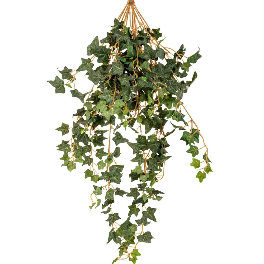Dege - HEDERA – Sezon Dekor