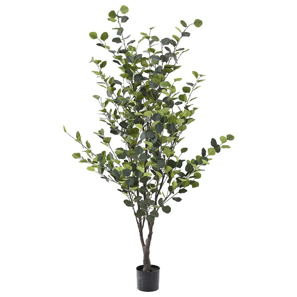 Peme - EUCALYPTUS – Sezon Dekor
